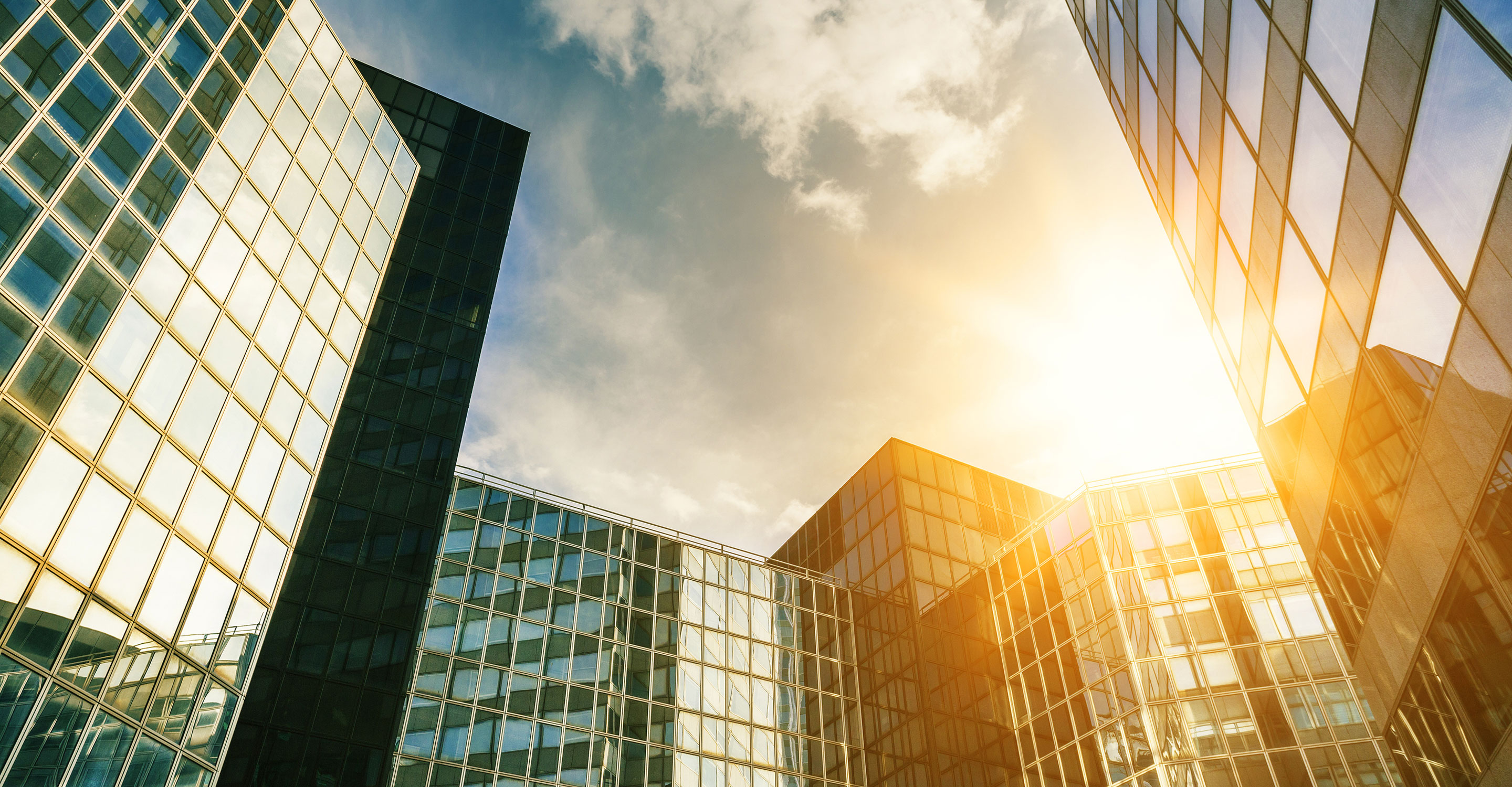 Signs Your Business Needs Window Film | Tint View