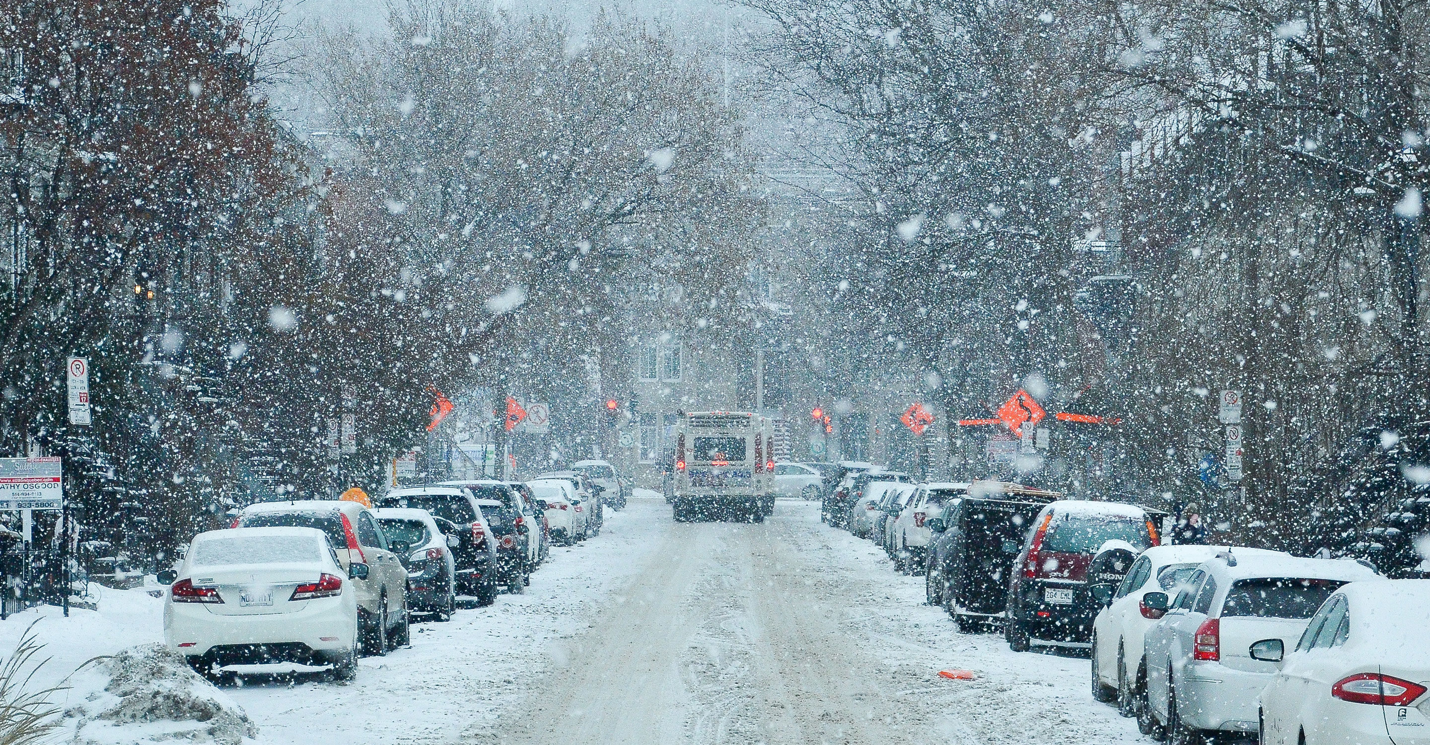 Winter Salt & Gravel Damage | Tint View